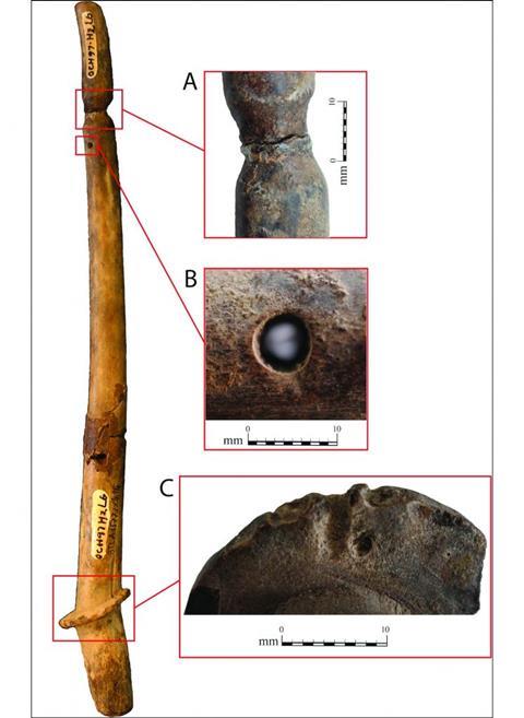 The 10 oldest musical instruments – Nutcracker Man