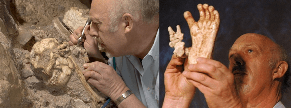 What species is Little Foot and other open questions – Nutcracker Man