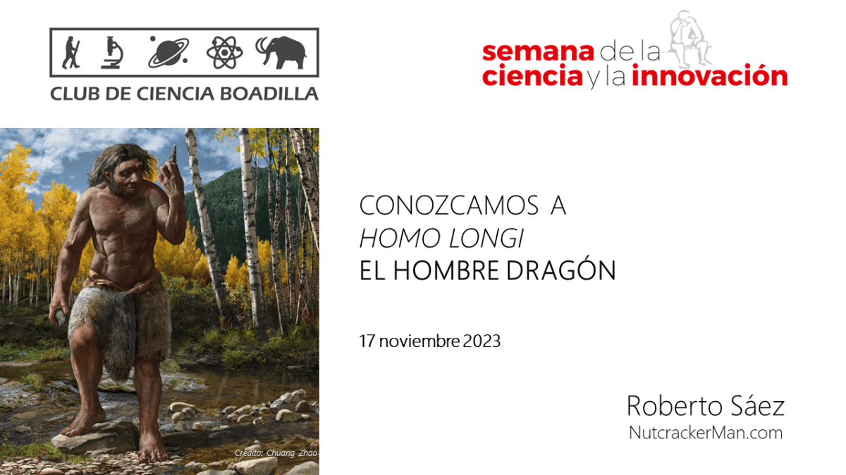 Conozcamos a Homo longi, el Hombre Dragón – Nutcracker Man