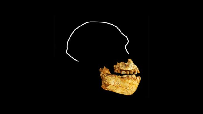 Sacamos del cajón a Australopithecus deyiremeda: dos australopitecos en el mismo paisaje ...